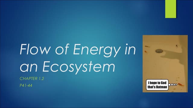 Energy flow in an ecosystem grade 7 q2.pptx
