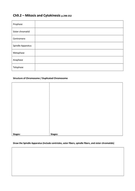 Chapter 8 1 Electrons And Energy Levels Ppt