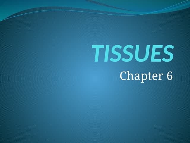 Tissues Class 9 ppt | PPTX