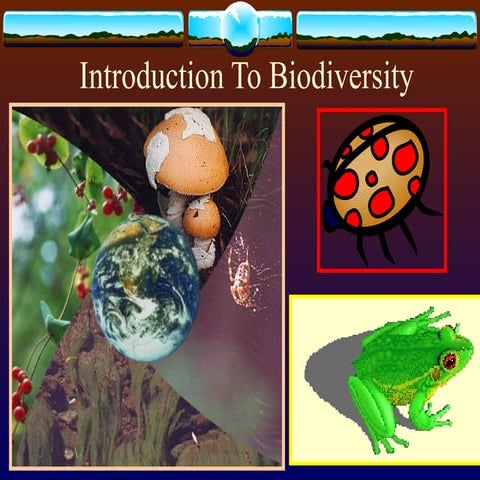[G9 Science - Q1] Introduction to Biodiversity and Classification.pptx