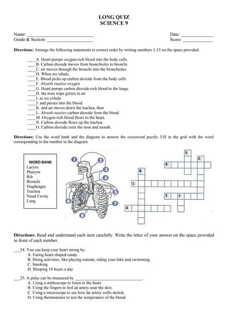 REVIEW TEST ON BODY SYSTEMS | PDF