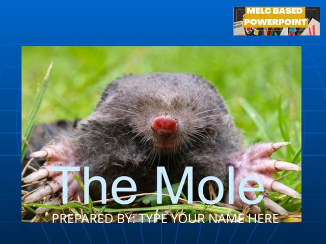 Moles and molar mass | PPTX | Chemistry | Science