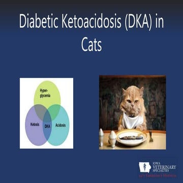 Diabetic Ketoacidosis or "DKA" in Cats | PPTX