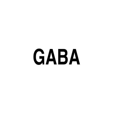Pharmacology of GABA | PDF