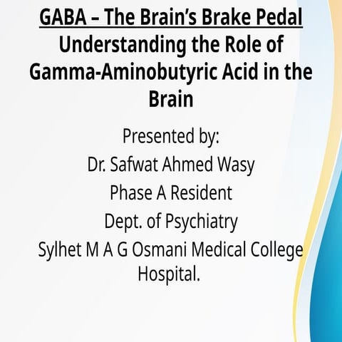 Comprehensive Overview of GABA: The Brain's Primary Inhibitory ...