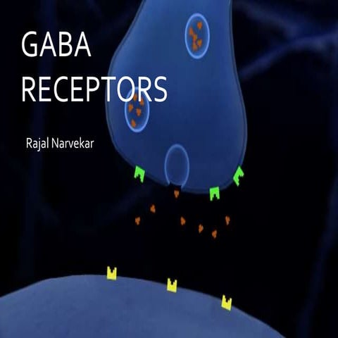 gaba receptor.pptx | Brain and Nervous System Disorders | Diseases and Conditions