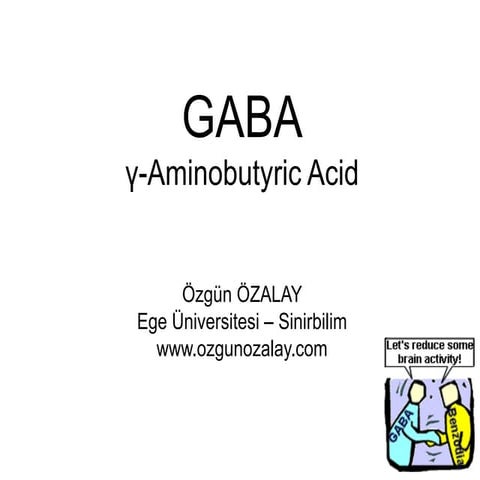 GABA İnhibisyon Sistemi | PPTX