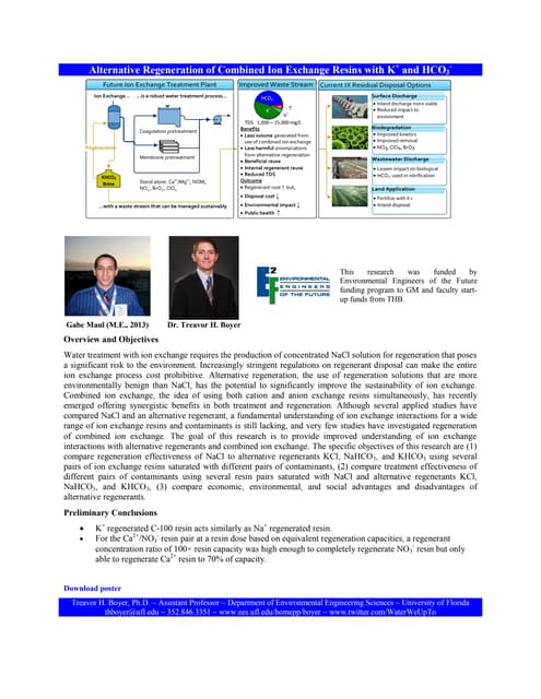 Ion Exchange Resins in PhyTip Columns | PDF