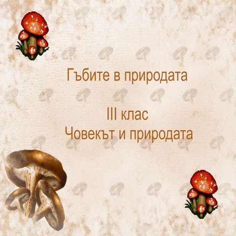 Gabite V Prirodata | PPS