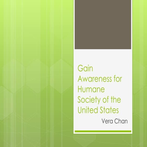 Gain awareness for hsus | PPTX