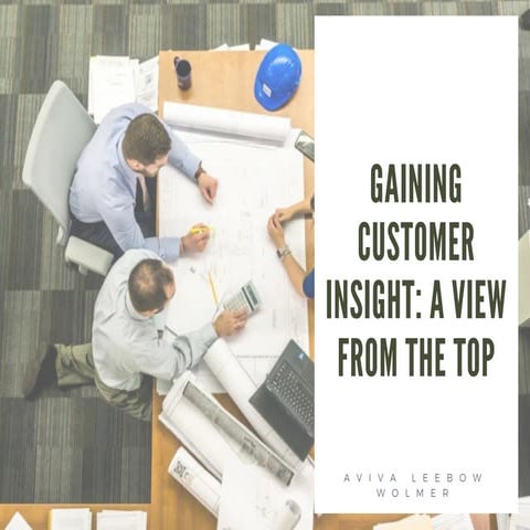 Gaining Customer Insight | PDF