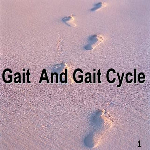 gait.ppt stance phase swing phase gait analysis | PPT