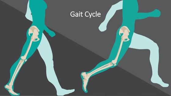Gait, Phases of Gait, Kinamatics and kinetics of gait | PPTX | Death ...