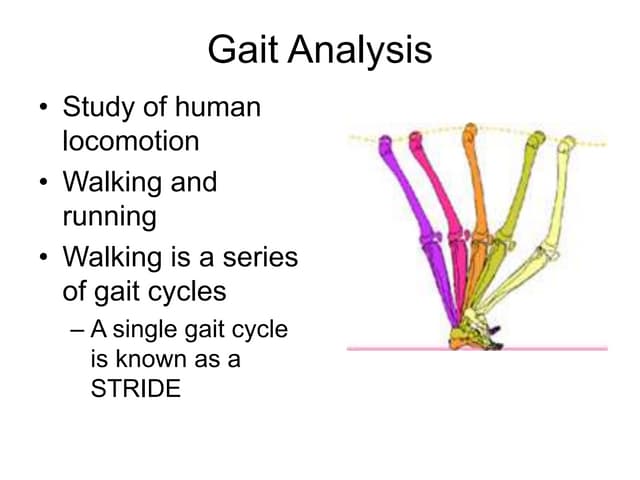 Gait, Phases of Gait, Kinamatics and kinetics of gait | PPTX