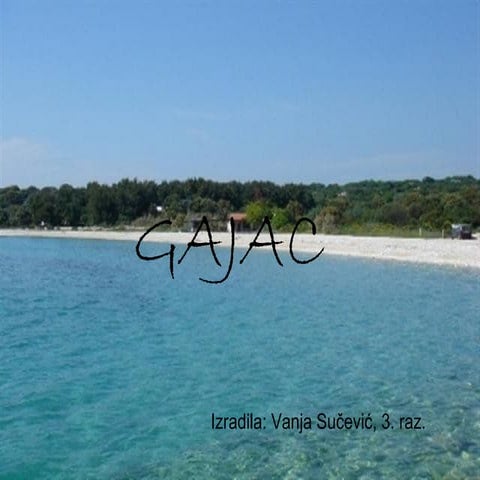 Gajac - Vanja Sučević | PPT