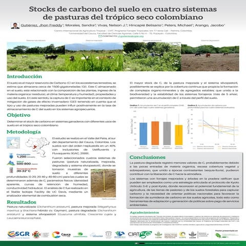 Stocks de carbono del suelo en cuatro sistemas de pasturas del trópico ...