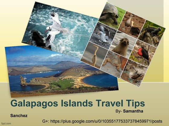 Galapagos Island | PPT