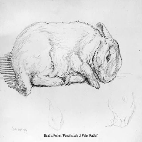 Galería de ilustraciones de Beatrix Potter | PPT