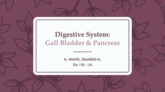 Histology & Function of The Pancreas | PPT