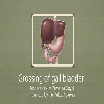 Comprehensive overview on Grossing of Gallbladder | PPTX