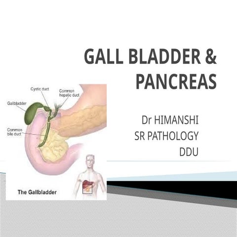 GALL BLADDER and PANCREAS basics presentation | PPT
