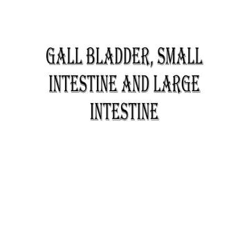 Gall bladder, Small intestine and Large intestine.pptx