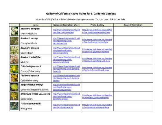 Gallery of california native plants u-w | PDF | Gardening | Home & Garden