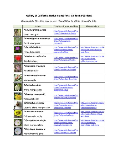 Gallery of california native plants u-w | PDF | Gardening | Home & Garden