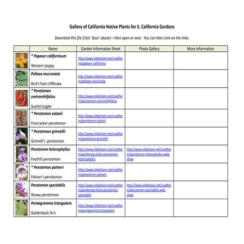 Gallery of california native plants p | PDF
