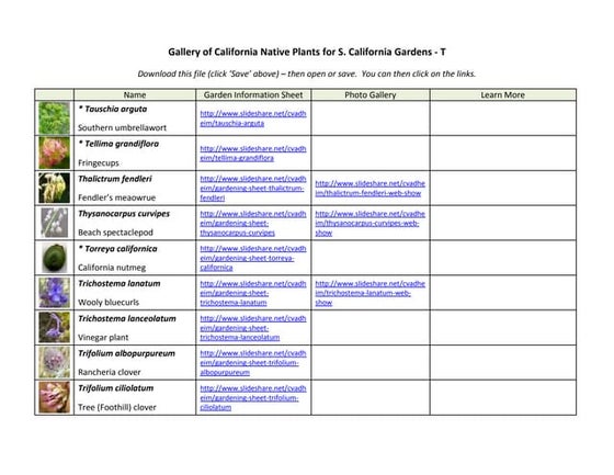 Gallery of california native plants u-w | PDF | Gardening | Home & Garden
