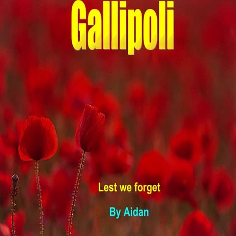 Gallipoli.Pp