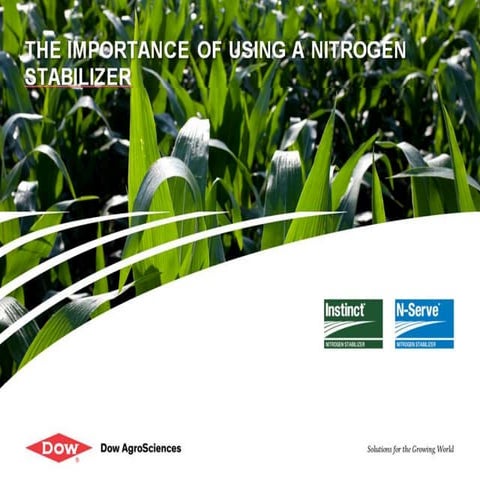 The Importance of Nitrogen Stabilization | PPTX | Agriculture | Industries