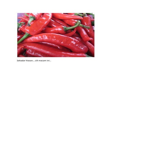 Gambar cili | DOCX