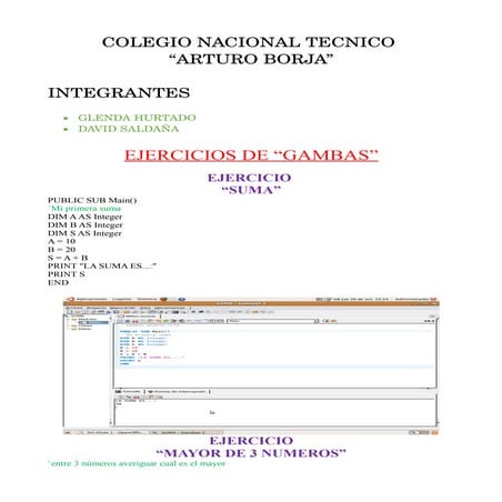 Gambas | PDF