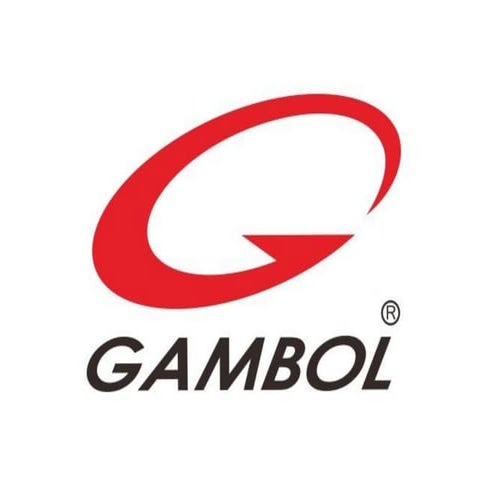 Final-gambol BDC412 Sec3013 | PDF