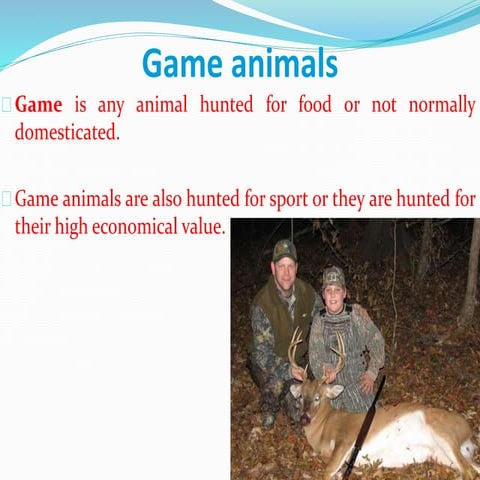 Game animals Shared By Abdul Qahar | PPTX