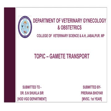 Understanding Gamete Transport: Key Mechanisms and Challenges in ...