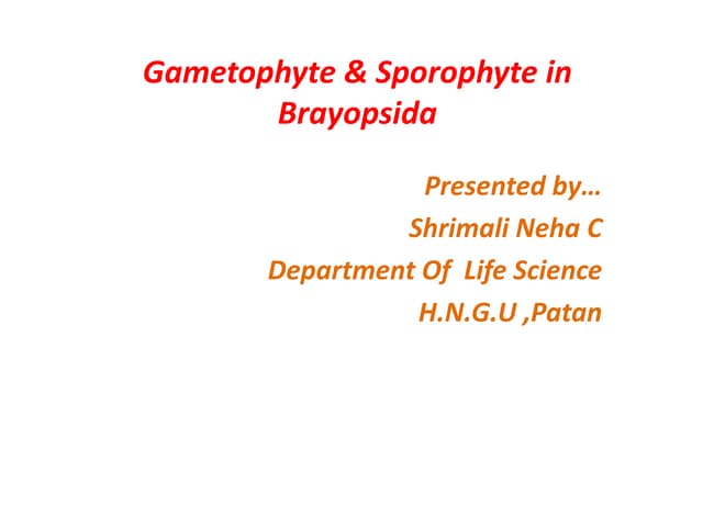 Funaria ( bryophytes) | PPTX