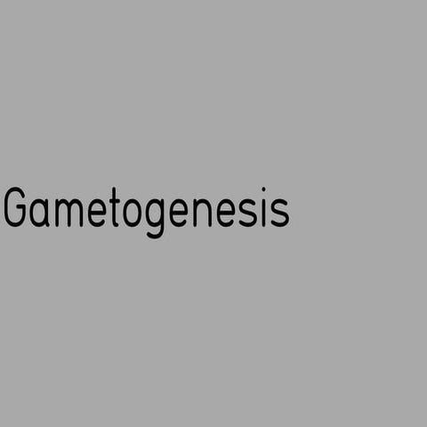 Gametogenesis | PPT