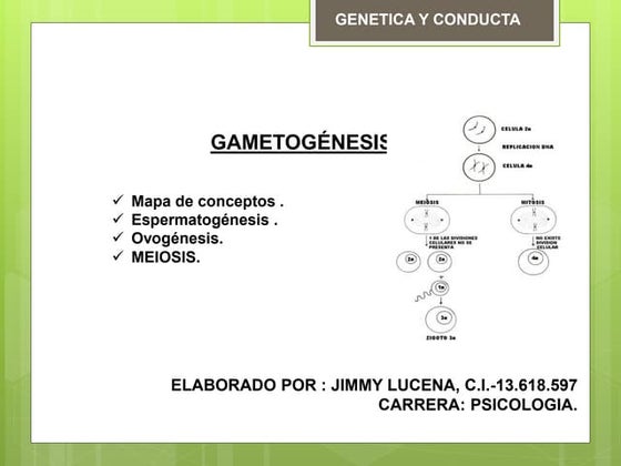 Gametogenesis | PPTX | Infertility | Reproductive Health