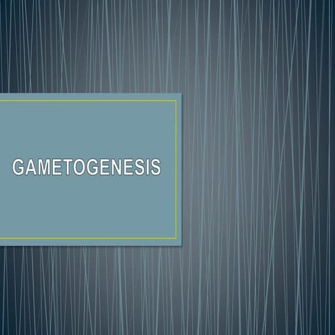 Gametogenesis | PPTX
