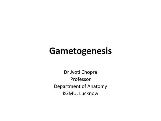 Gametogenesis | PPT