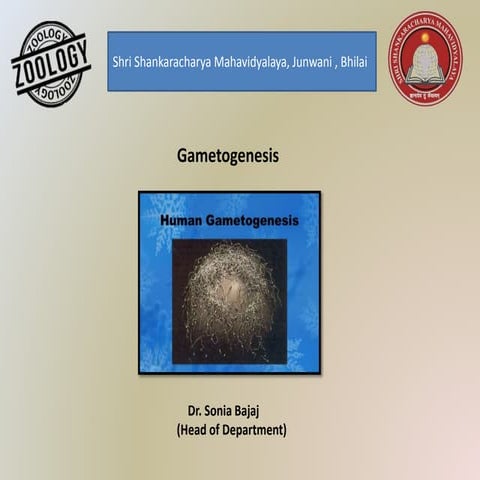 Gametogenesis, Types of gametogenesis, structure of sperm & ovum and regulation ,compare ...