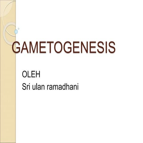 GAMETOGENESIS.ppt