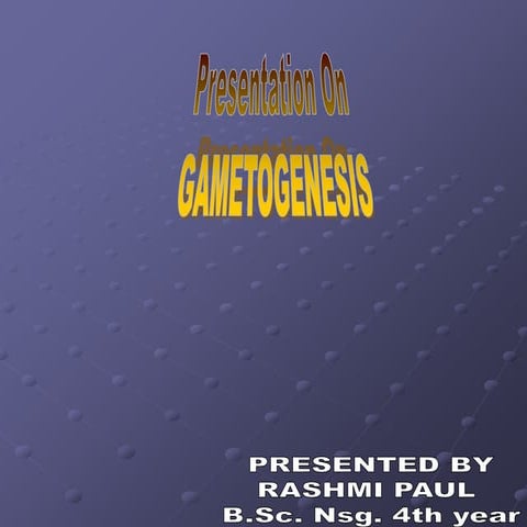 Gametogenesis In Functions Of Reproductive System Ppt