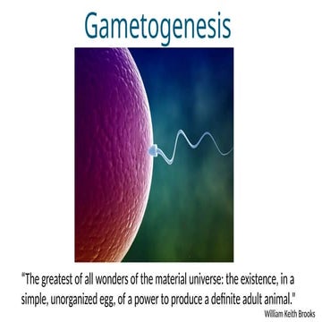 The Origin of Life: Gamete Formation Unveiled (Gametogenesis) | PPTX