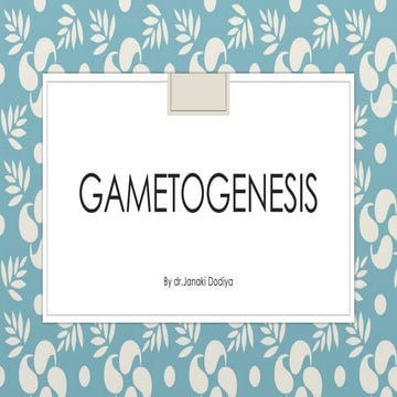 gametogenesis powerpoint presentation... | PPTX