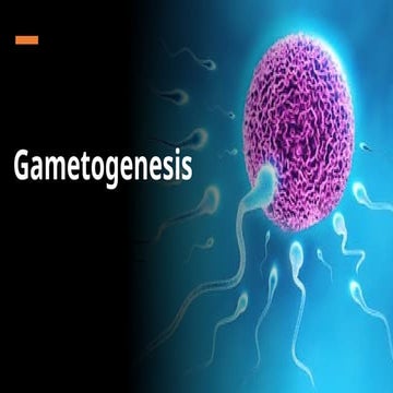 Gametogenesis | PPTX