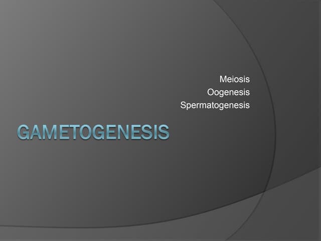 Oogenesis | PPTX