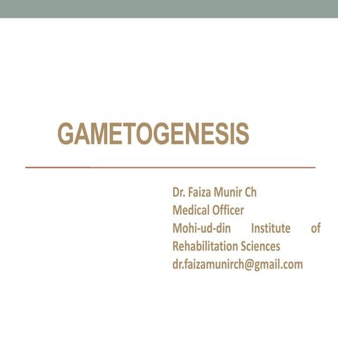 Gametogenesis 2 | PPT